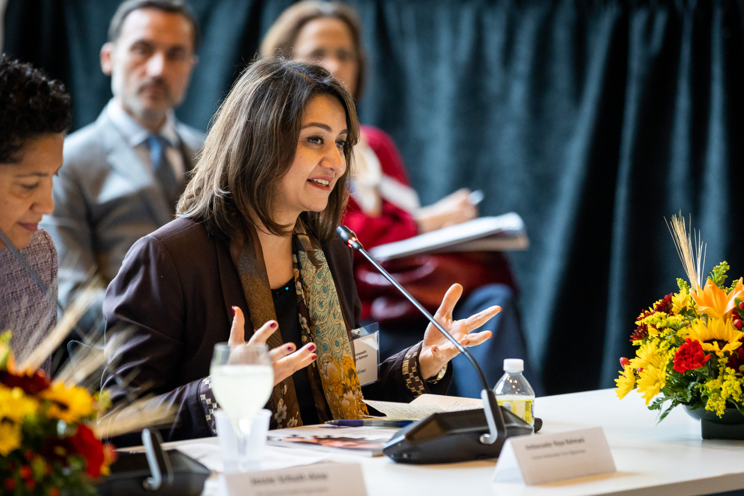 Afghanistan's Roya Rahmani now a fighter for global women's rights ...